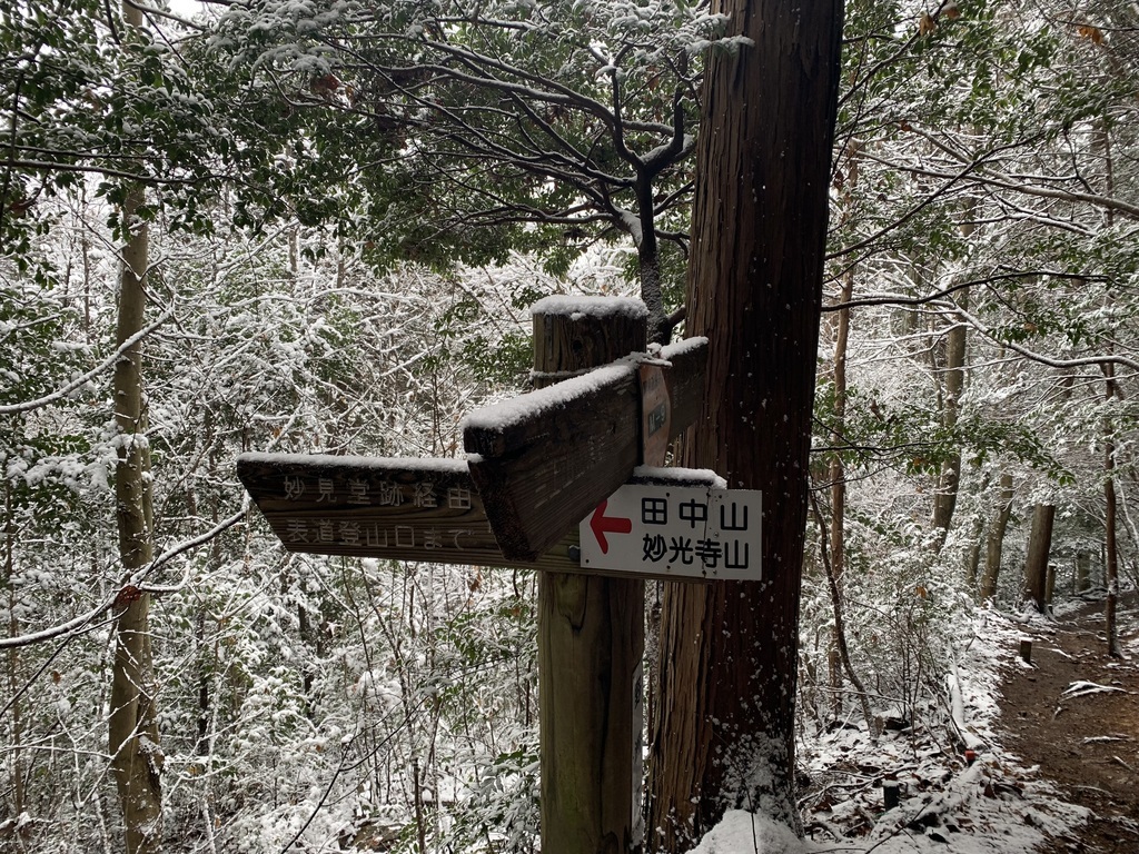 雪の三上山北尾根縦走: my garden