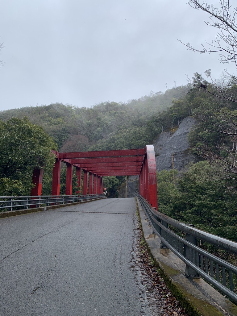 雪の愛宕山: my garden