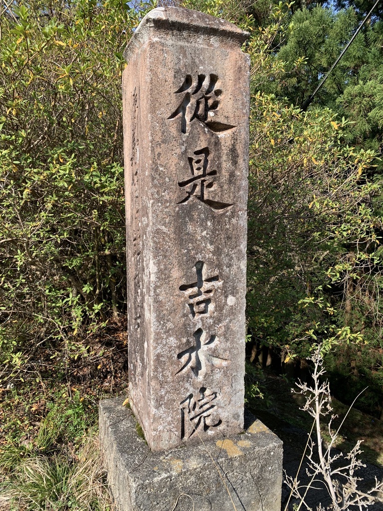 一目千本 吉野の桜: my garden