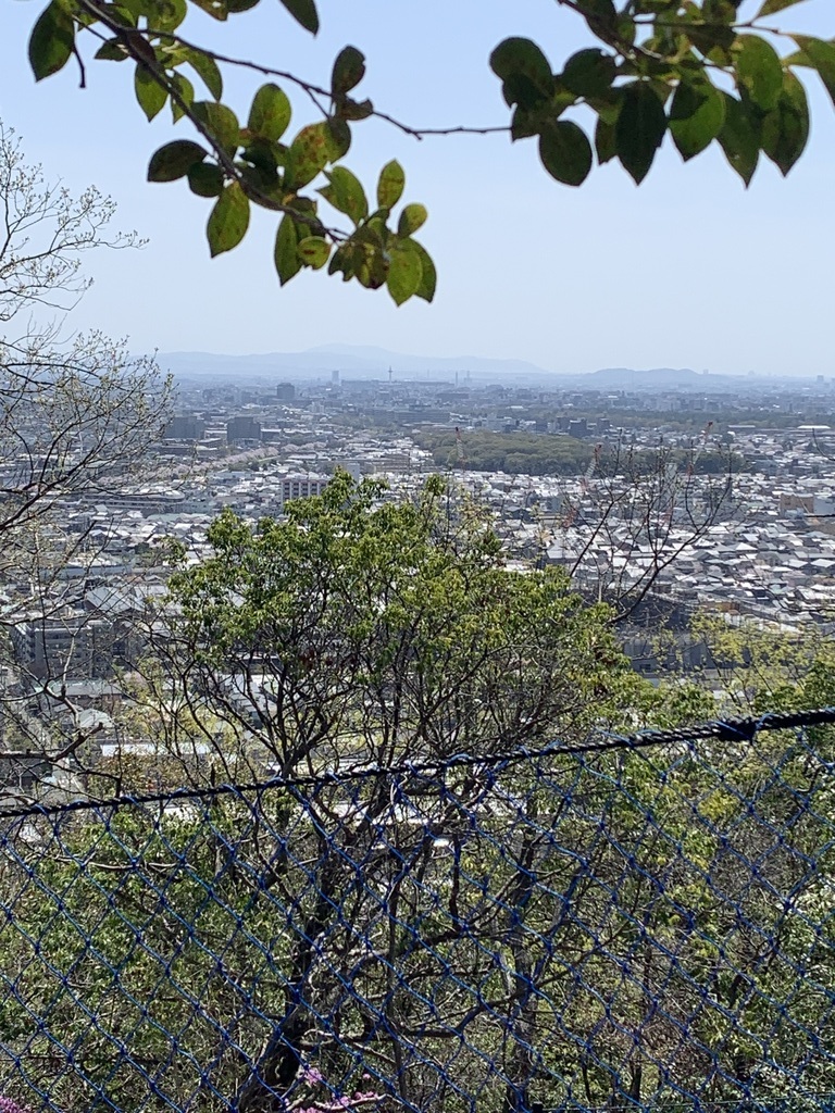 はじめての森歩き講座 宝ヶ池 東山: my garden