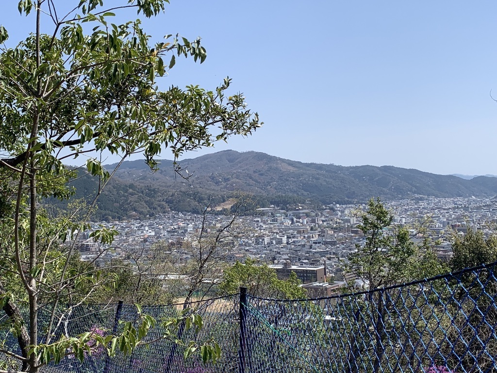 はじめての森歩き講座 宝ヶ池 東山: my garden