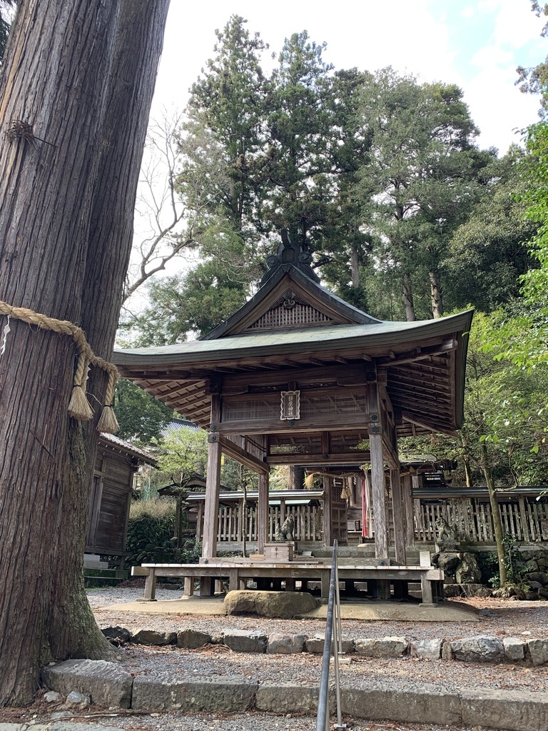瓢箪崩山（ひょうたんくずれやま）にヒカゲツツジを見に！！: my garden