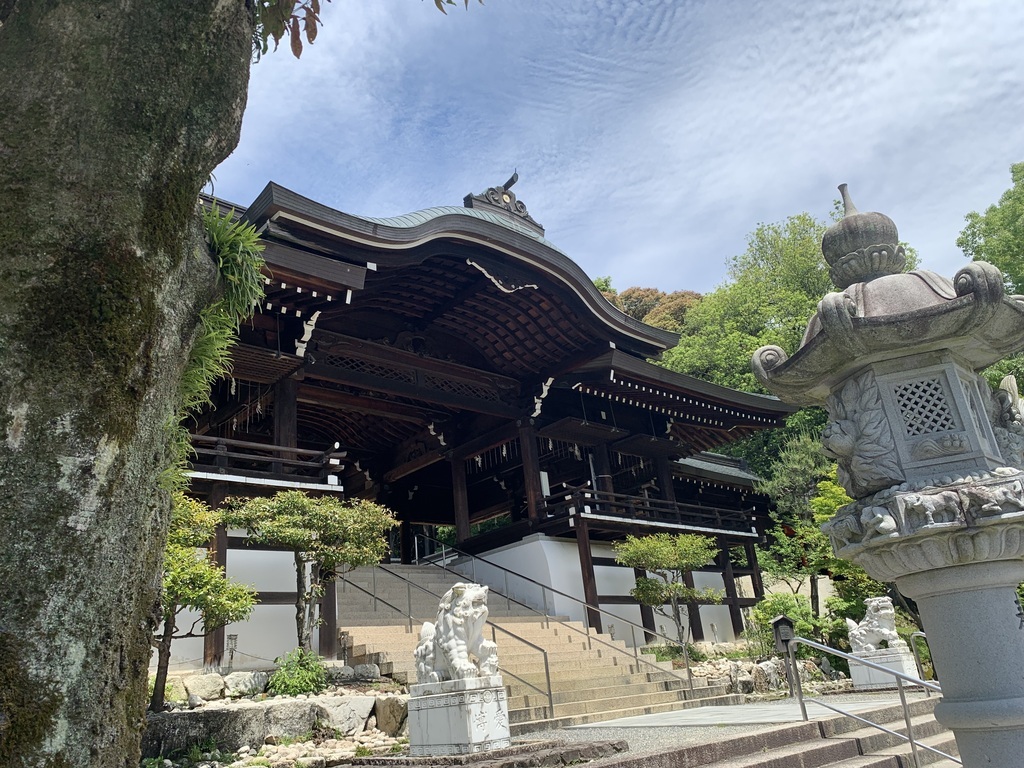 はじめての森歩き講座 崇福寺跡: my garden