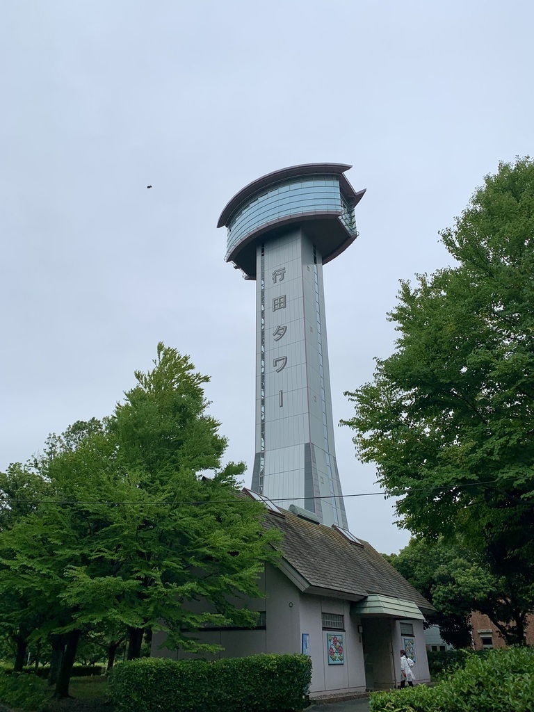 古代蓮の里と田んぼアート: my garden