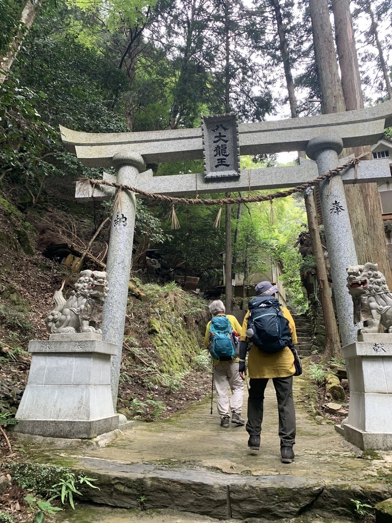 空也の滝: my garden