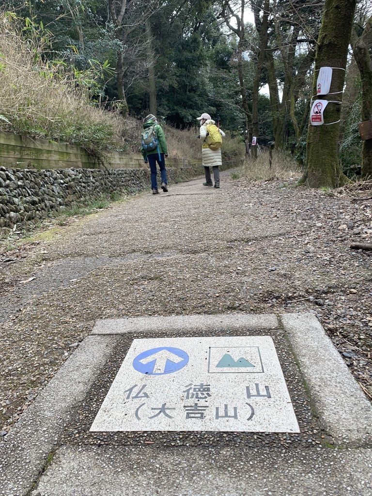 大吉山～朝日山、縦走: my garden