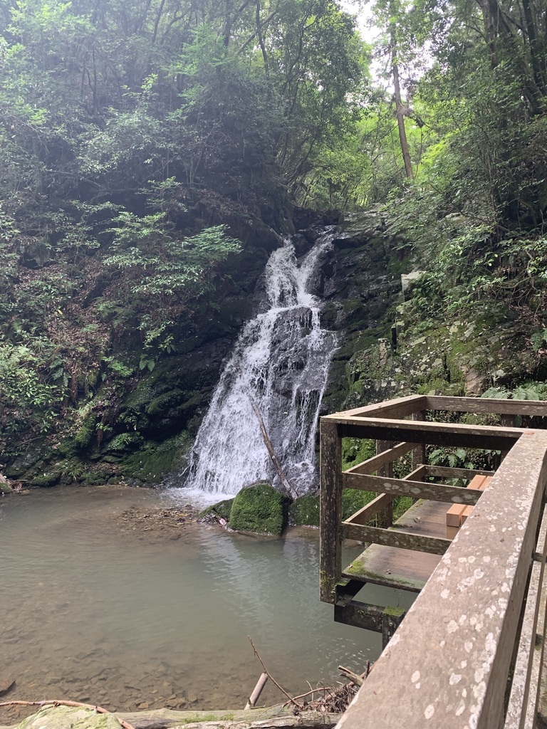 はじめての森歩き講座 摂津峡＆芥川清水緑道: my garden