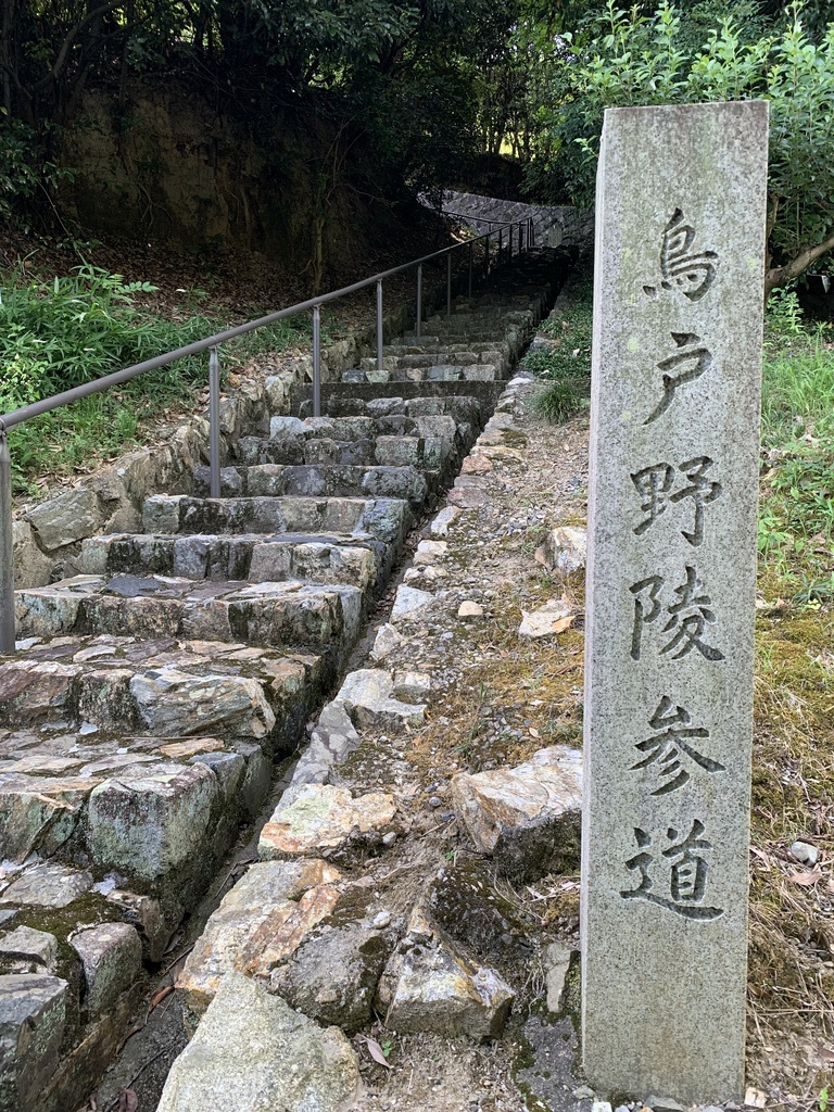 朝活始めました～♪ 7/27 その①: my garden