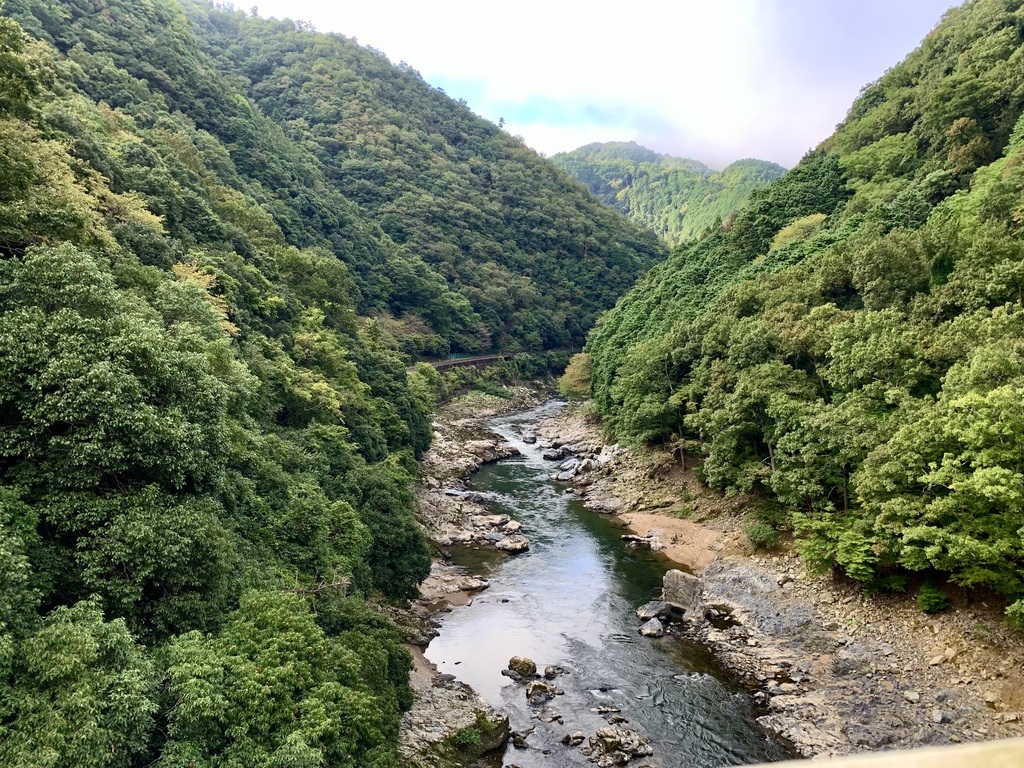 ツツジ尾根から愛宕山。: my garden