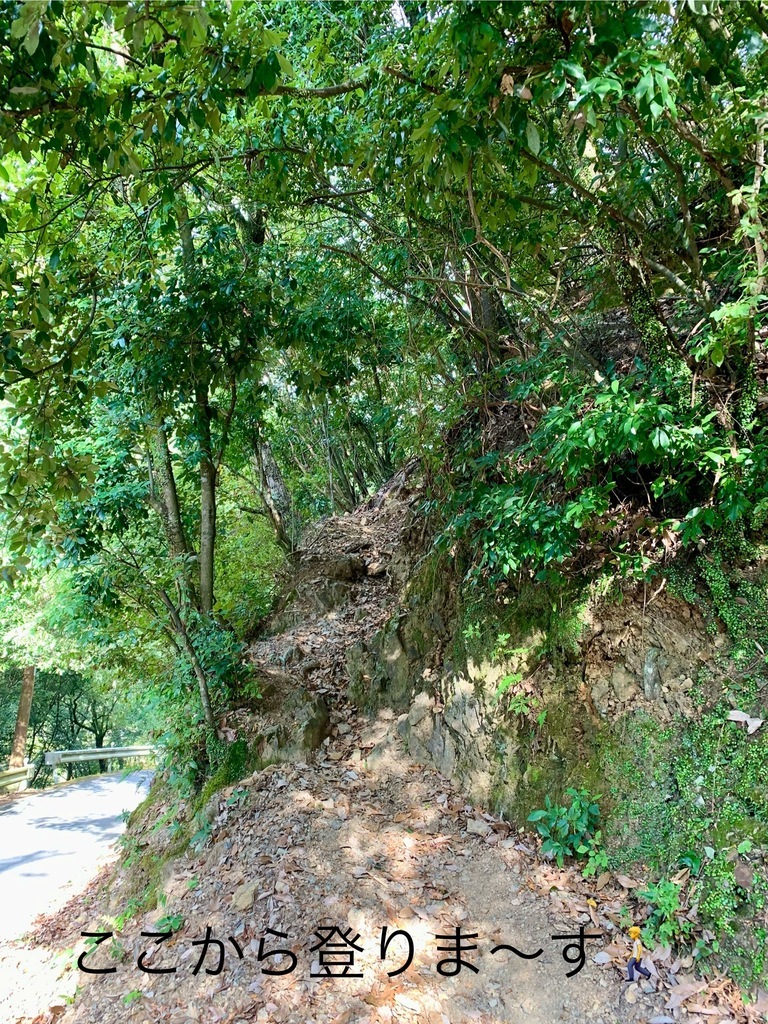 ツツジ尾根から愛宕山。: my garden