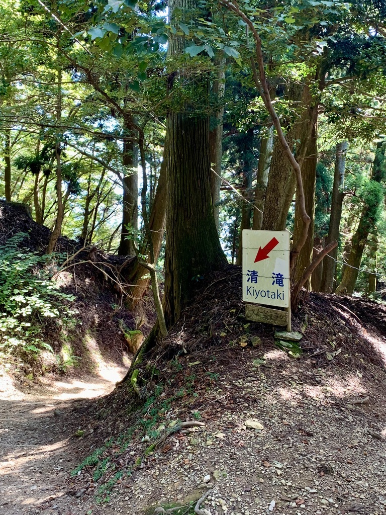 ツツジ尾根から愛宕山。: my garden